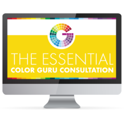 Color Guru Consultation - ESSENTIAL - Color Guru