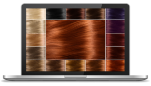 Color Guru Consultation - PLUS - Color Guru