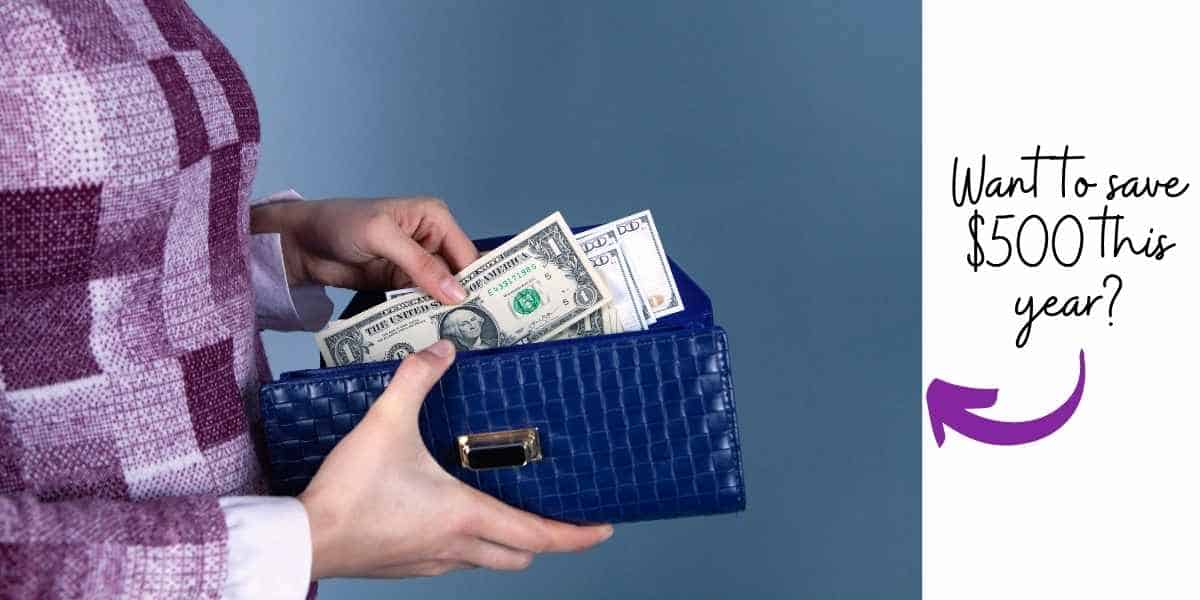 Save $500 This Year by Getting Your Colors Done - Color Guru